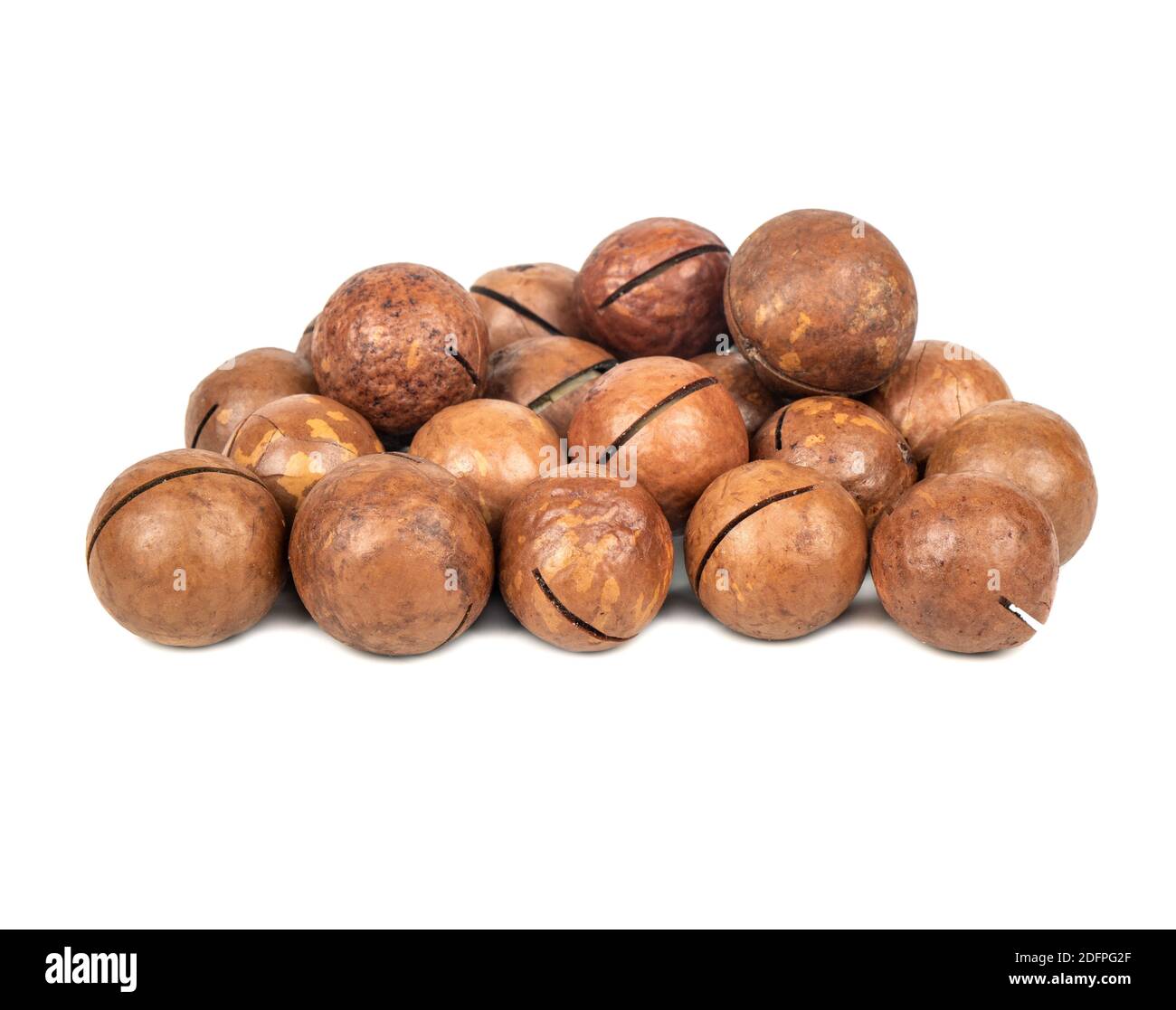 Pile of macadamia nuts in a shell on a white background Stock Photo - Alamy