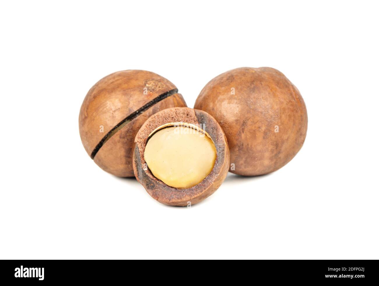 Macadamia nuts with a split half on a white background Stock Photo - Alamy