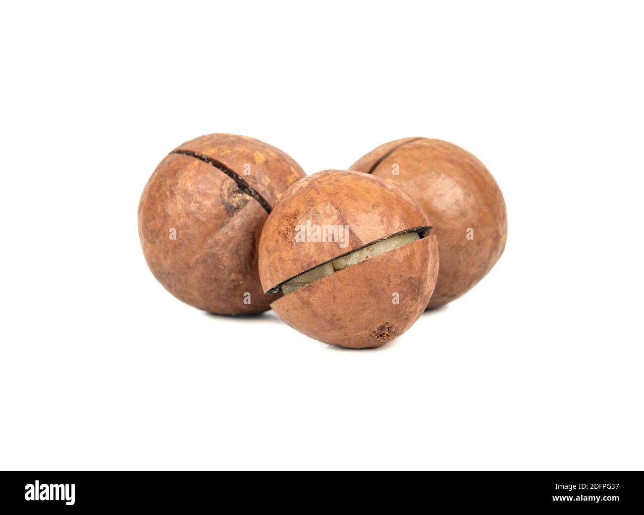 Three macadamia nuts in a shell isolated on a white background Stock ...