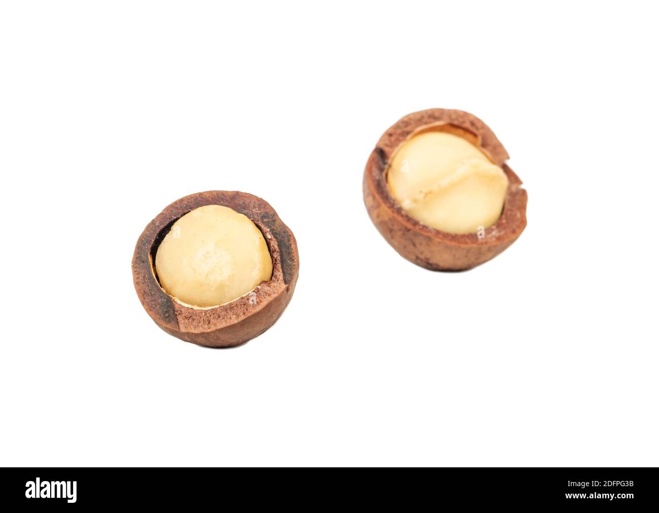 Two split macadamia nut halves isolated on a white background Stock ...