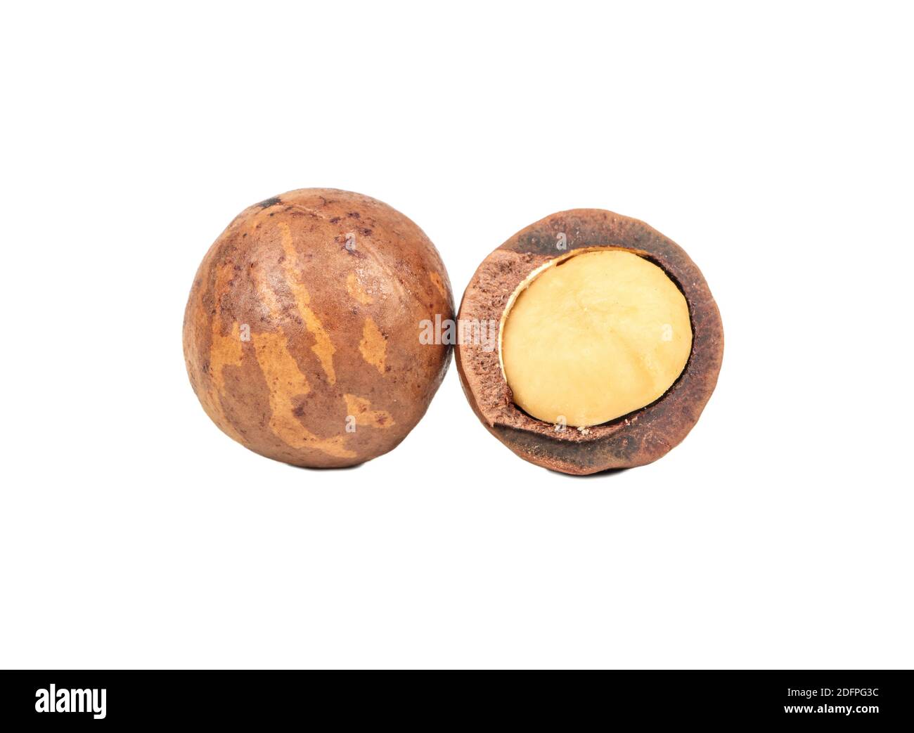 Macadamia nut with split half isolated on white background Stock Photo ...