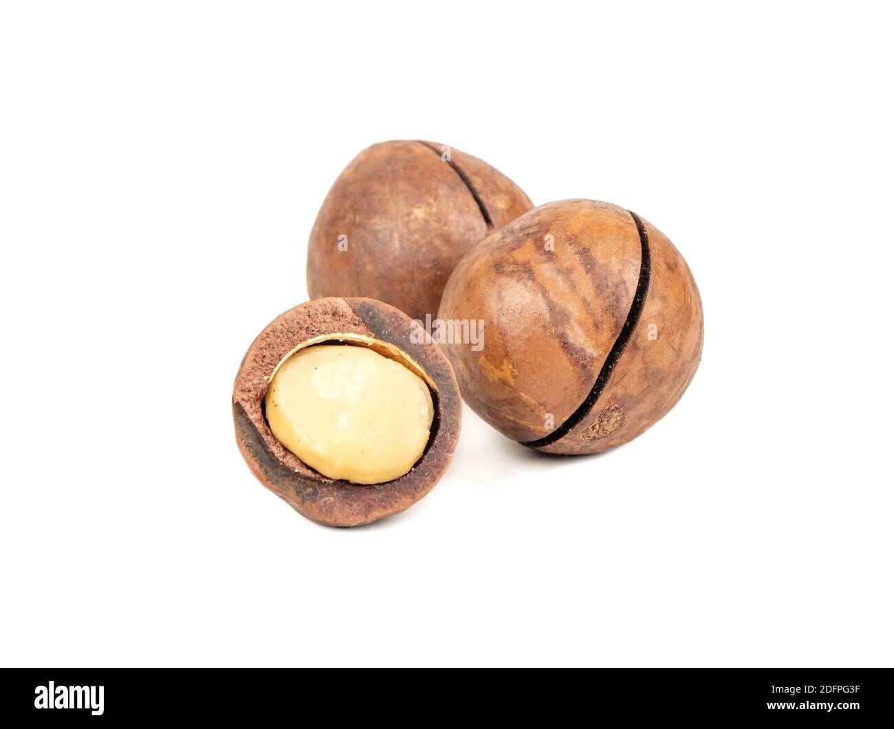 Two macadamia nuts with a half isolated on a white background Stock ...
