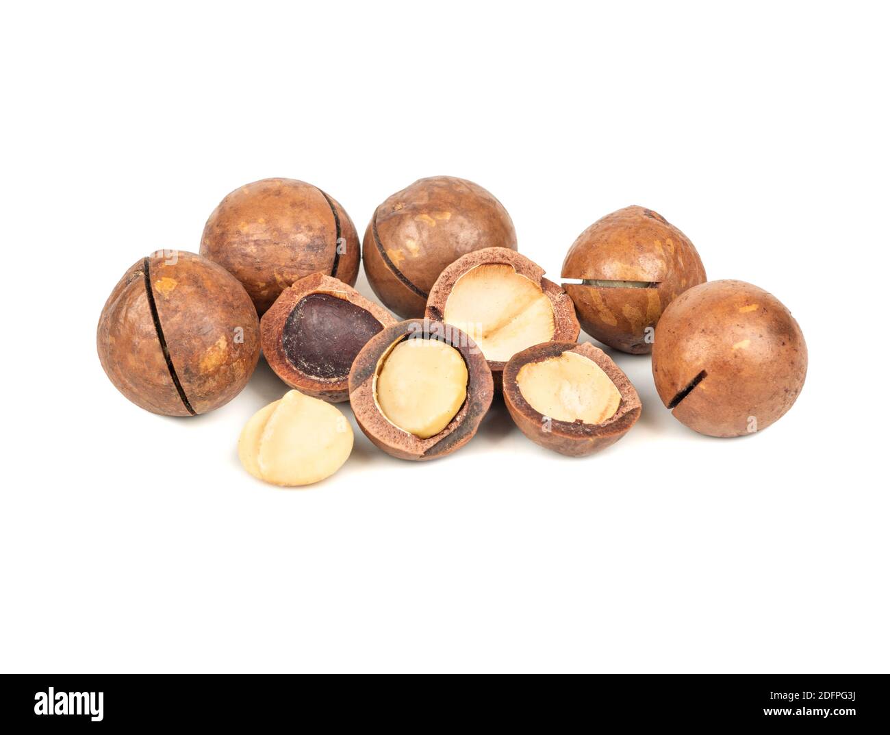 Macadamia nuts in a shell and without on a white background Stock Photo ...