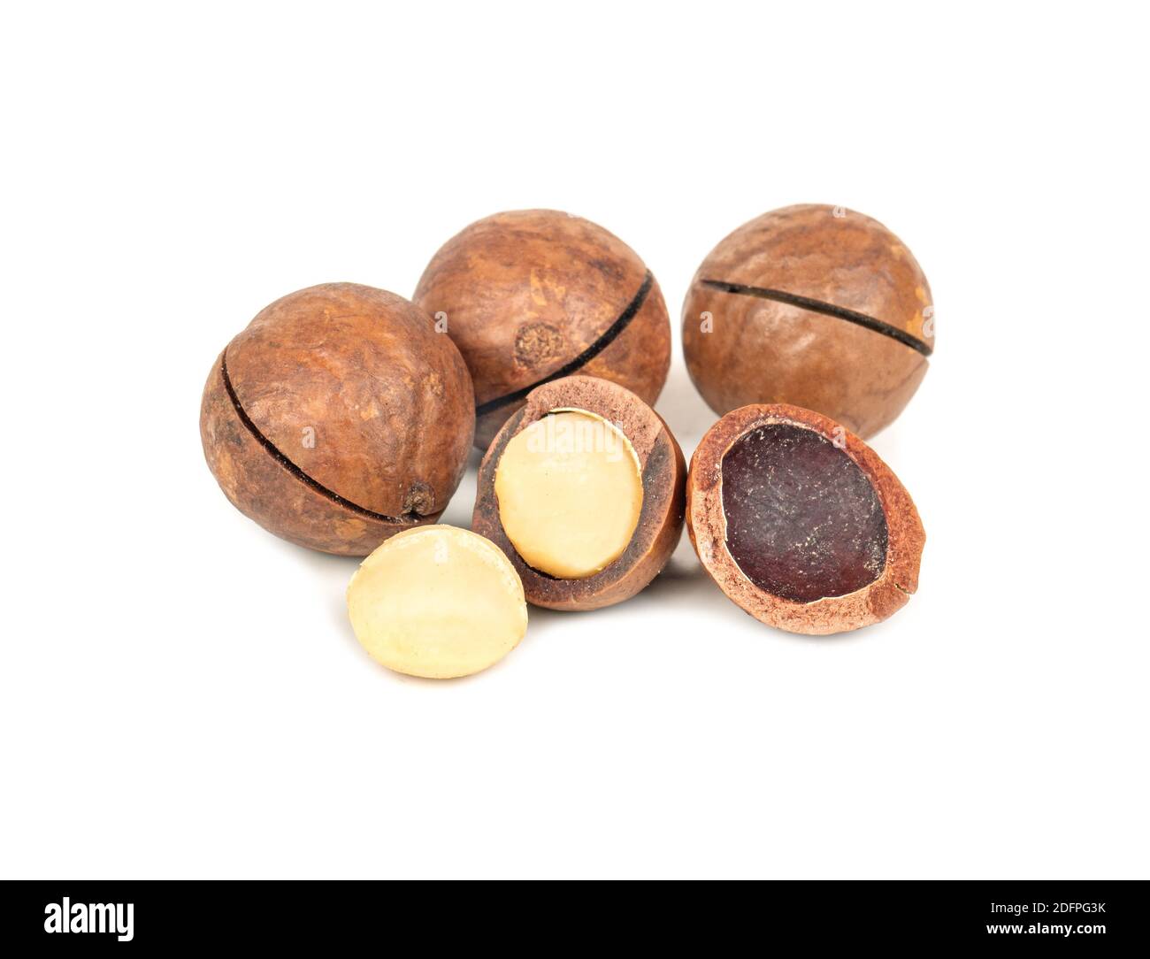Delicious macadamia nuts with kernels on a white background Stock Photo ...