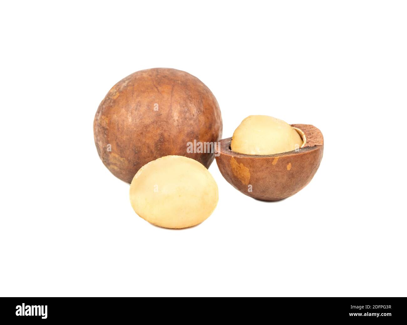 Macadamia nut with half and core on a white background Stock Photo - Alamy