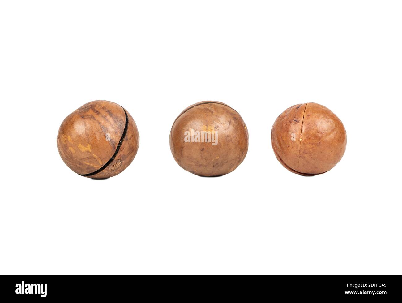 Three macadamia nuts in a shell isolated on a white background Stock ...