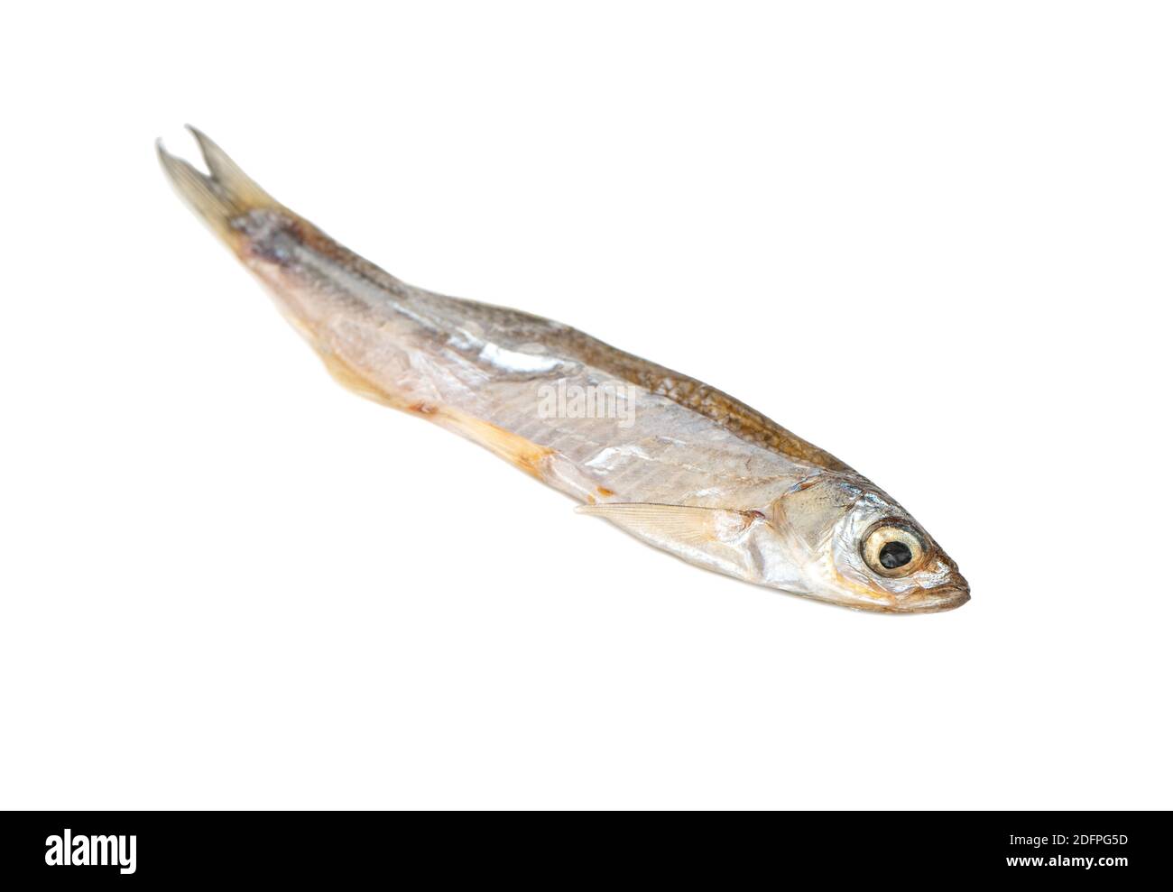 Dry small fish isolated on a white background Stock Photo - Alamy