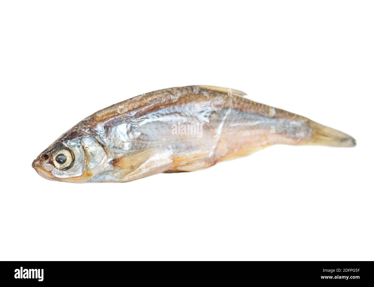 Dry small fish isolated on a white background Stock Photo - Alamy