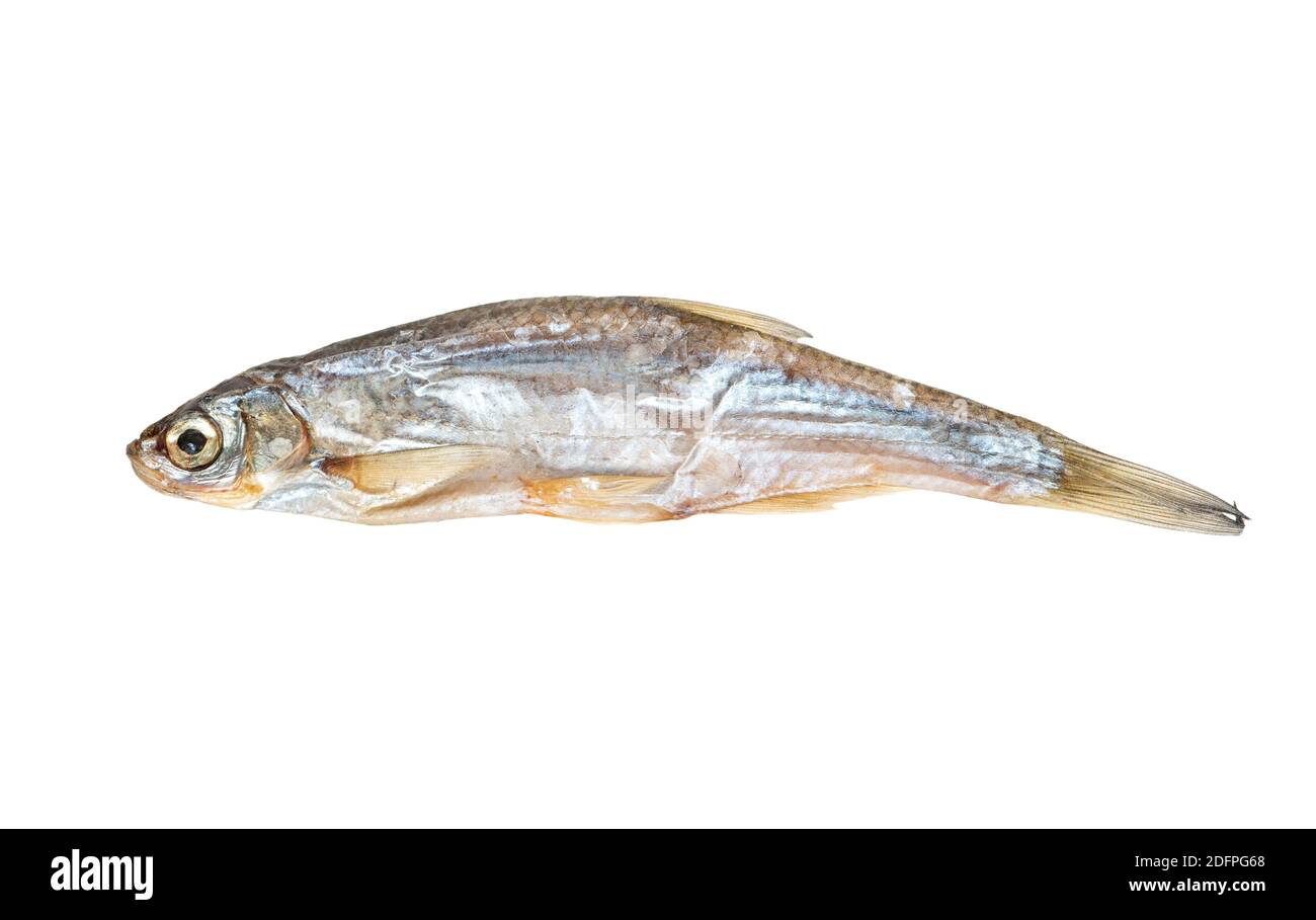 Dry small fish isolated on a white background Stock Photo - Alamy