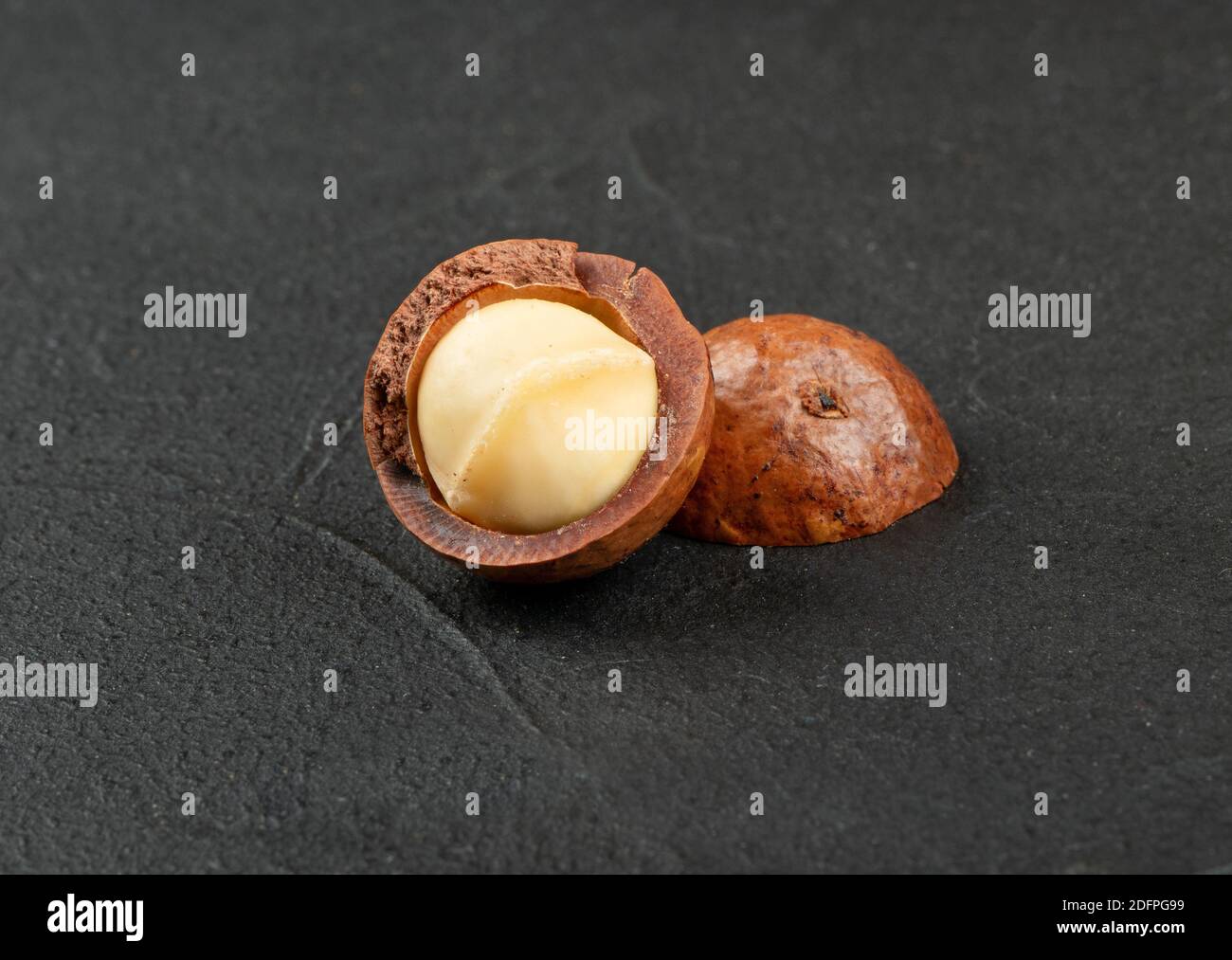 Macadamia nut split into two halves on a dark background Stock Photo ...