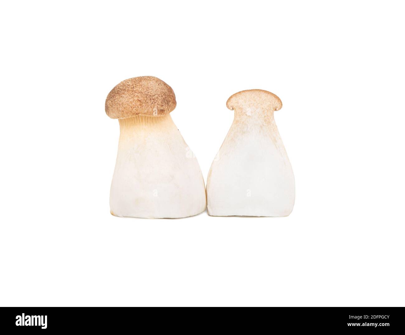 Eringi mushroom with half isolated on a white background Stock Photo ...