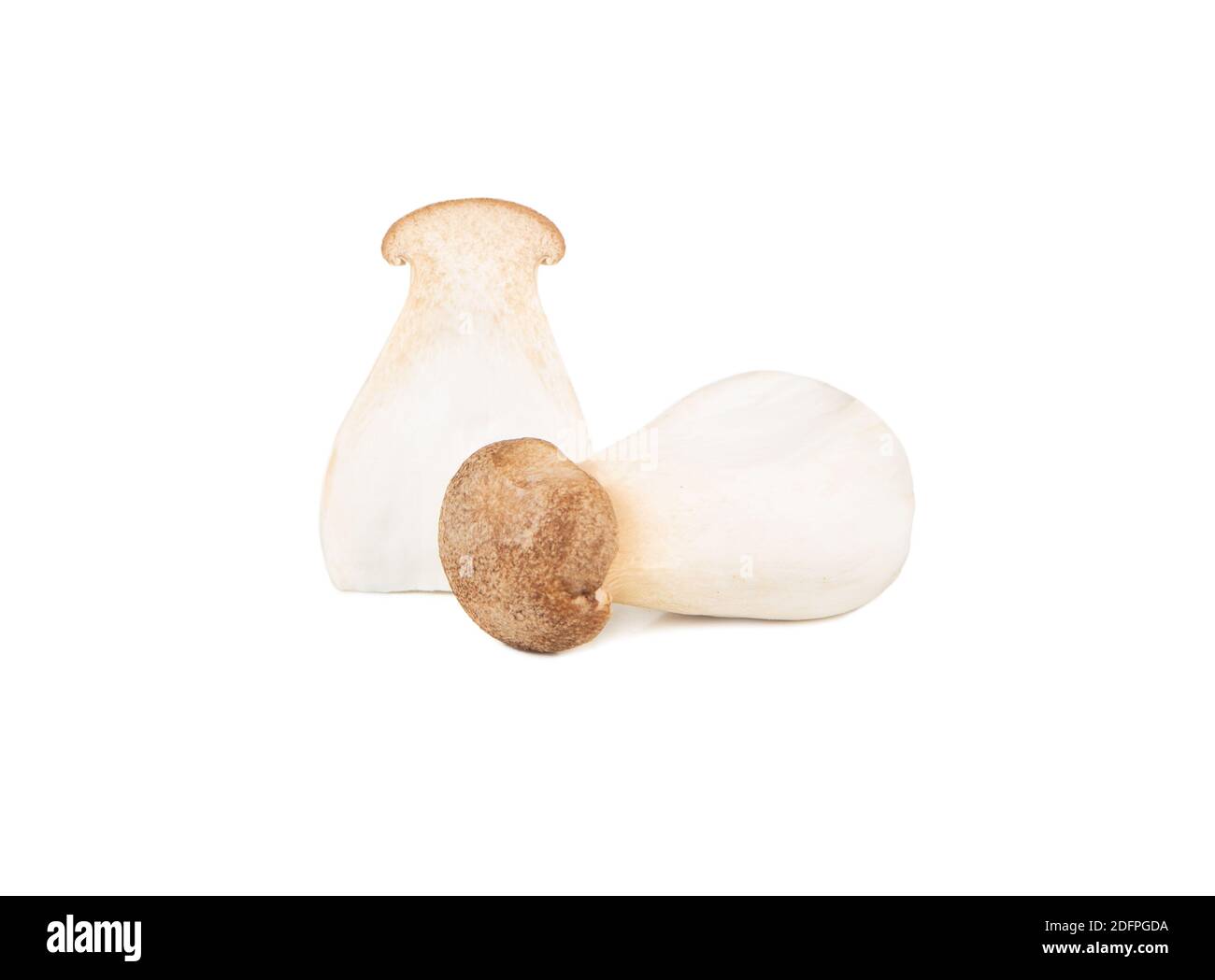 Eringi mushroom with half isolated on a white background Stock Photo ...