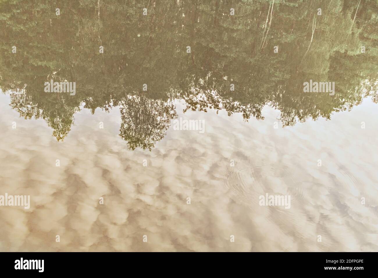 Reflection of trees and sky with clouds in lake water at sunset Stock ...