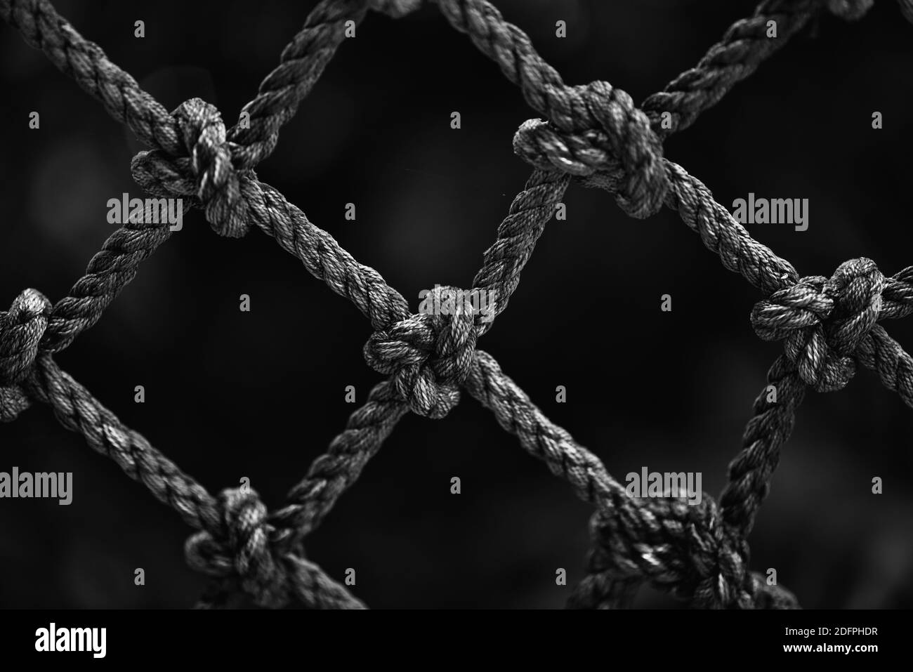 Visual Metaphor Photography