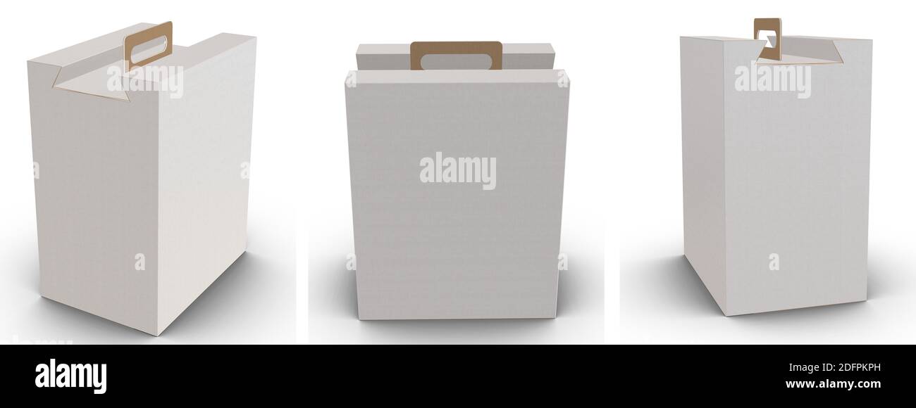 3D rendering - High resolution image white custom carrier box template ...