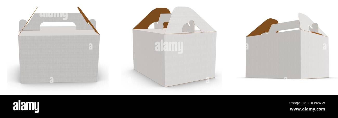 3D rendering - High resolution image white custom carrier box template ...