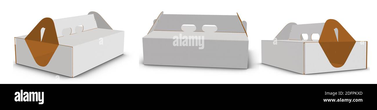 3D rendering - High resolution image white custom carrier box template ...