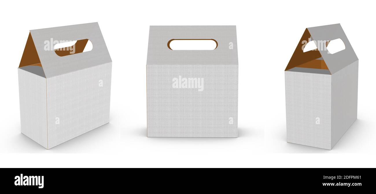 3D rendering - High resolution image white custom carrier box template ...