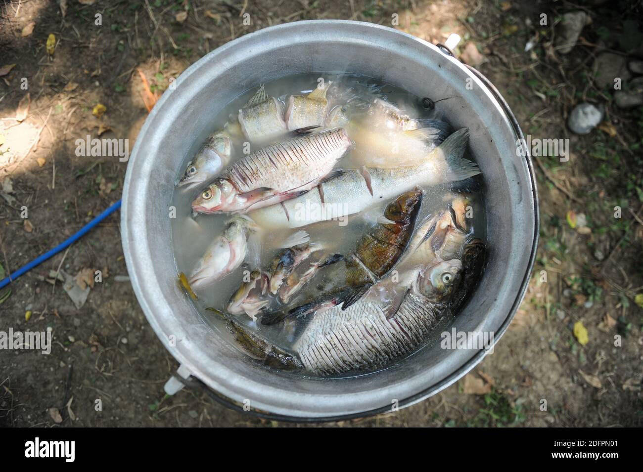 Shallow depth of field (selective focus) image with a traditional ...