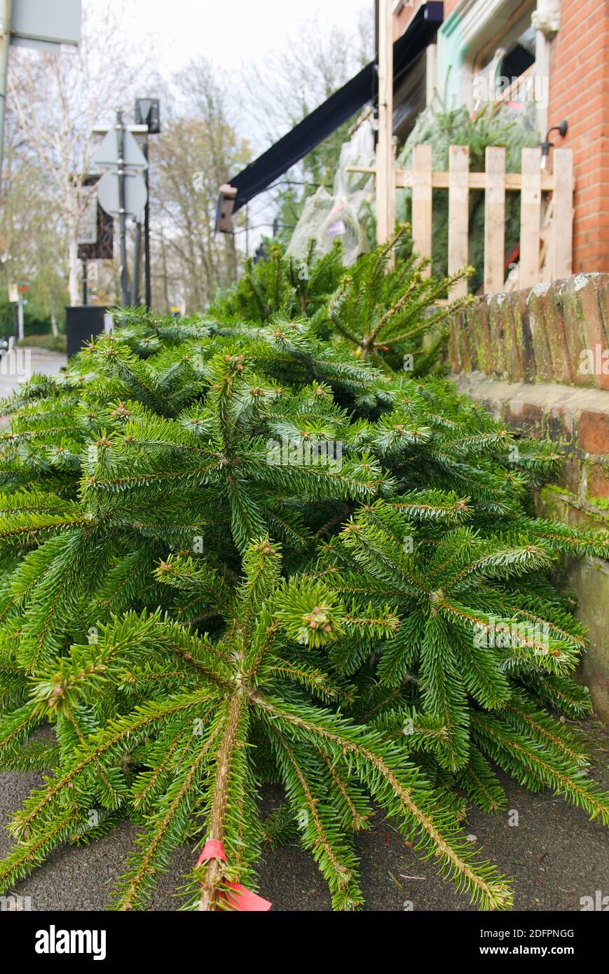 Borough market christmas tree hi-res stock photography and images - Alamy
