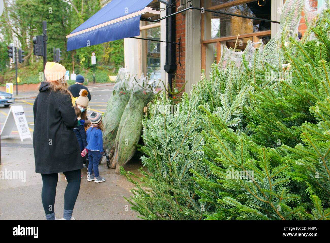Christmas tree shopping Stock Photo - Alamy
