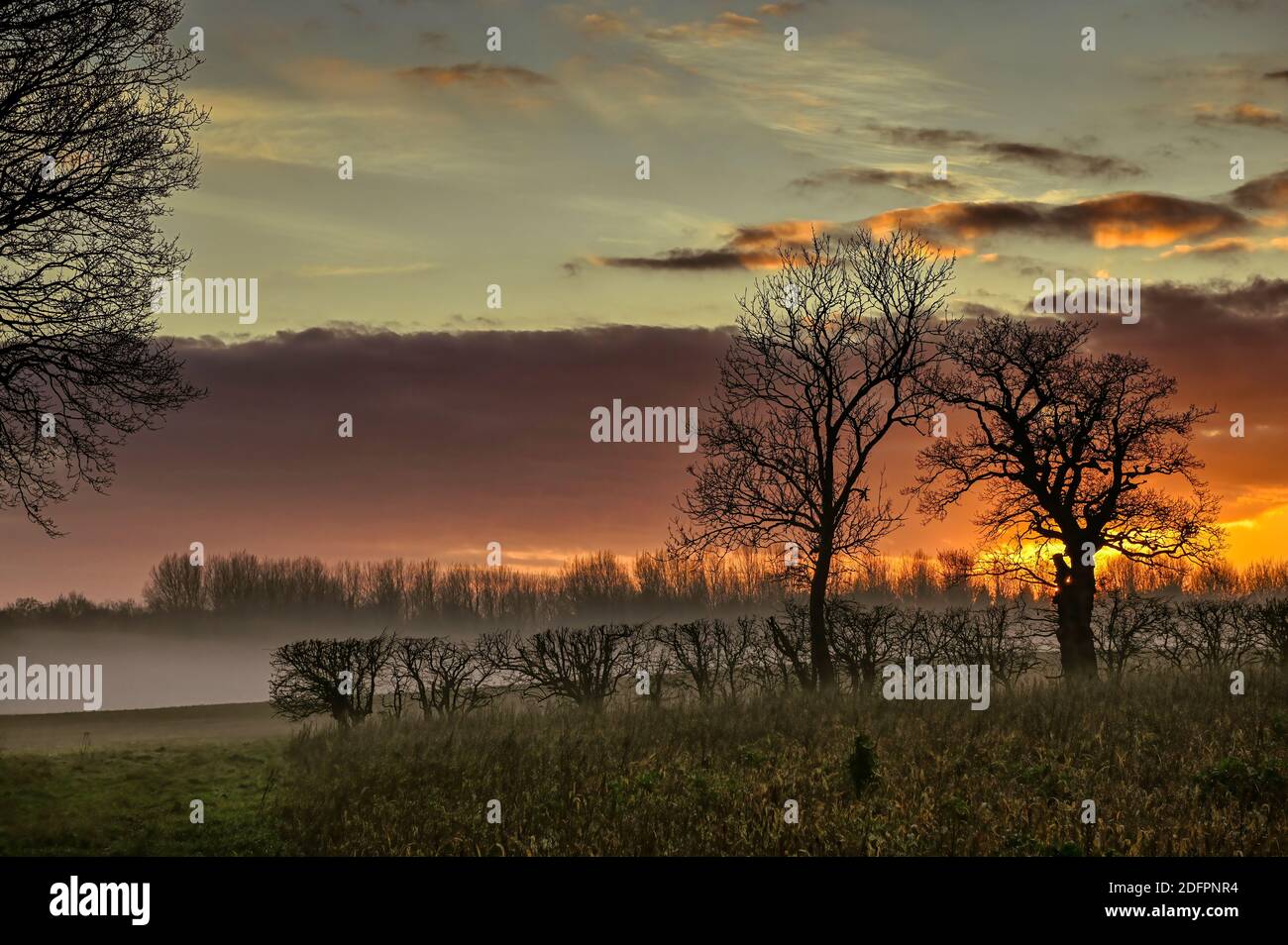 A Norfolk sunset with silhouetted trees and freezing fog. North norfolk ...