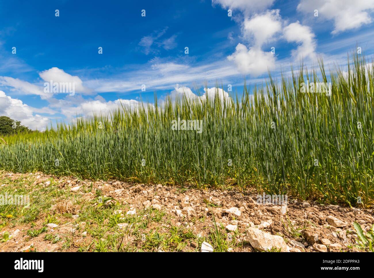 Singleton Village England Uk High Resolution Stock Photography and ...