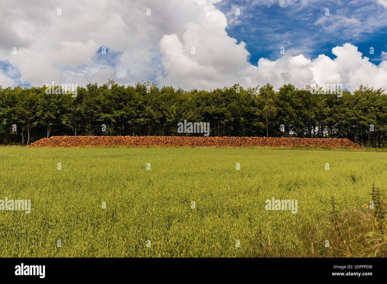 Timber Crops High Resolution Stock Photography and Images - Alamy