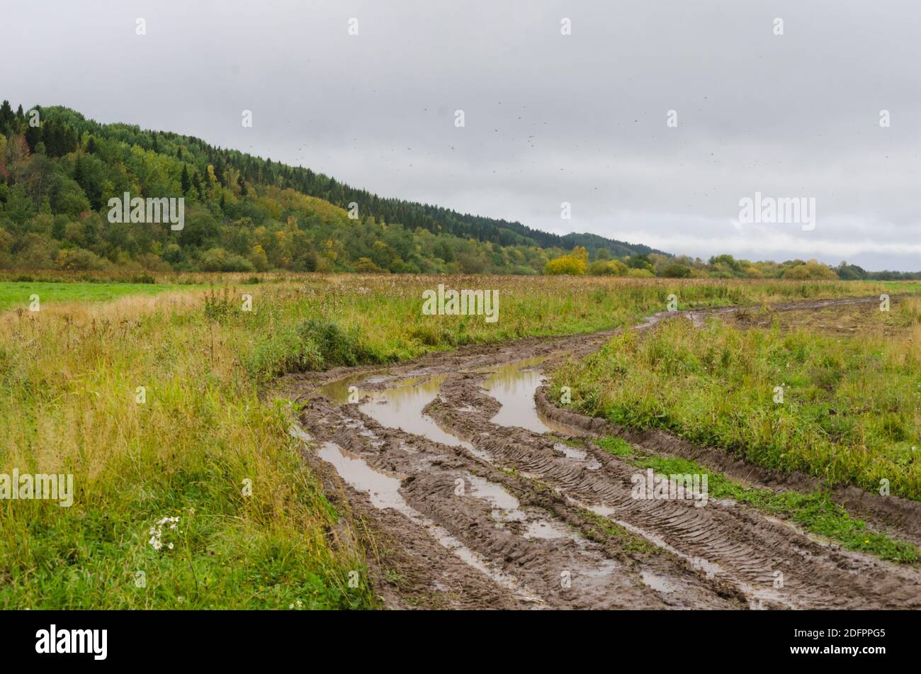 Soggy road through a green field. Hard way Stock Photo - Alamy