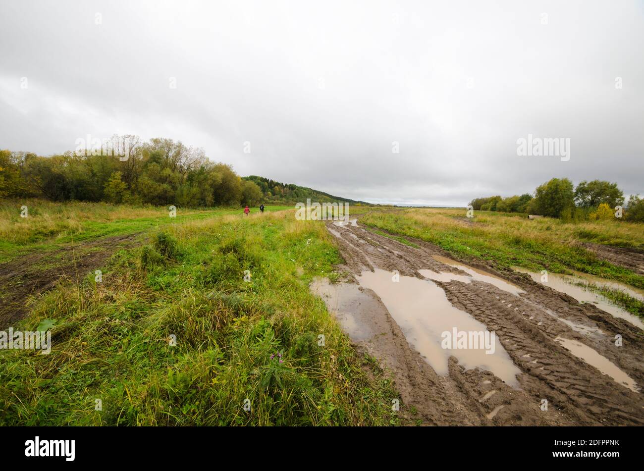 Soggy road through a green field. Hard way Stock Photo - Alamy