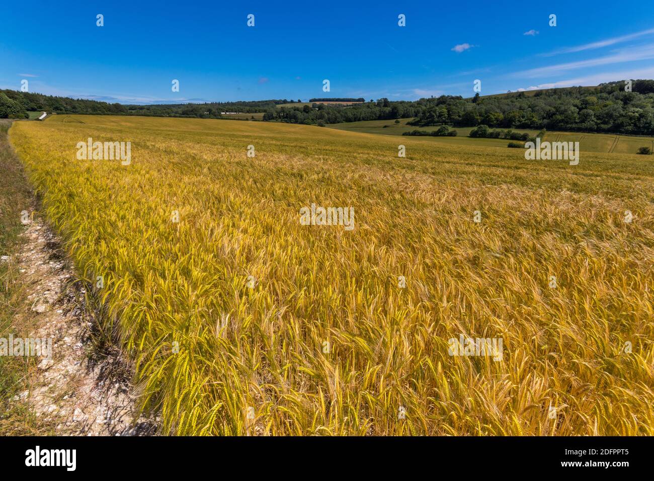 Countryside near Singleton village, Chichester, West Sussex, UK Stock ...