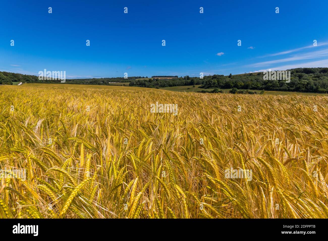 Singleton village england uk hi-res stock photography and images - Alamy