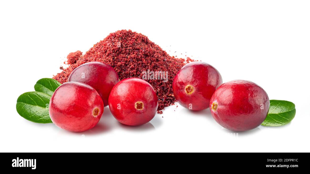 dried cranberry powder and fresh cranberries isolated on white ...