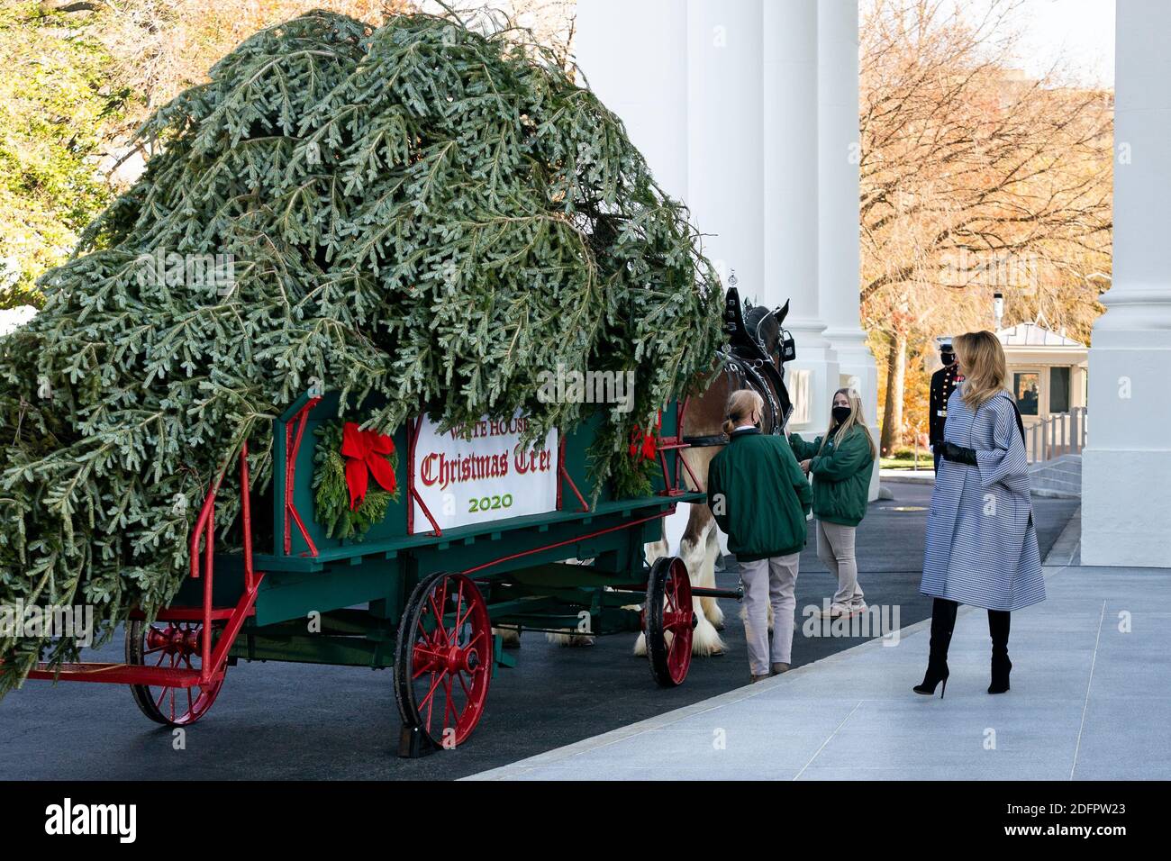 Melania trump receives christmas tree hi-res stock photography and ...