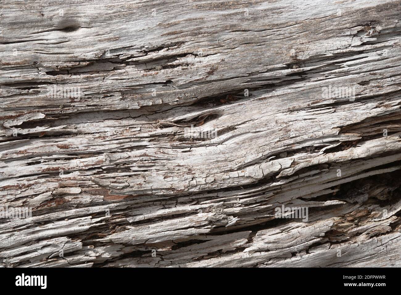Decaying wood forming an abstract pattern or background Stock Photo - Alamy