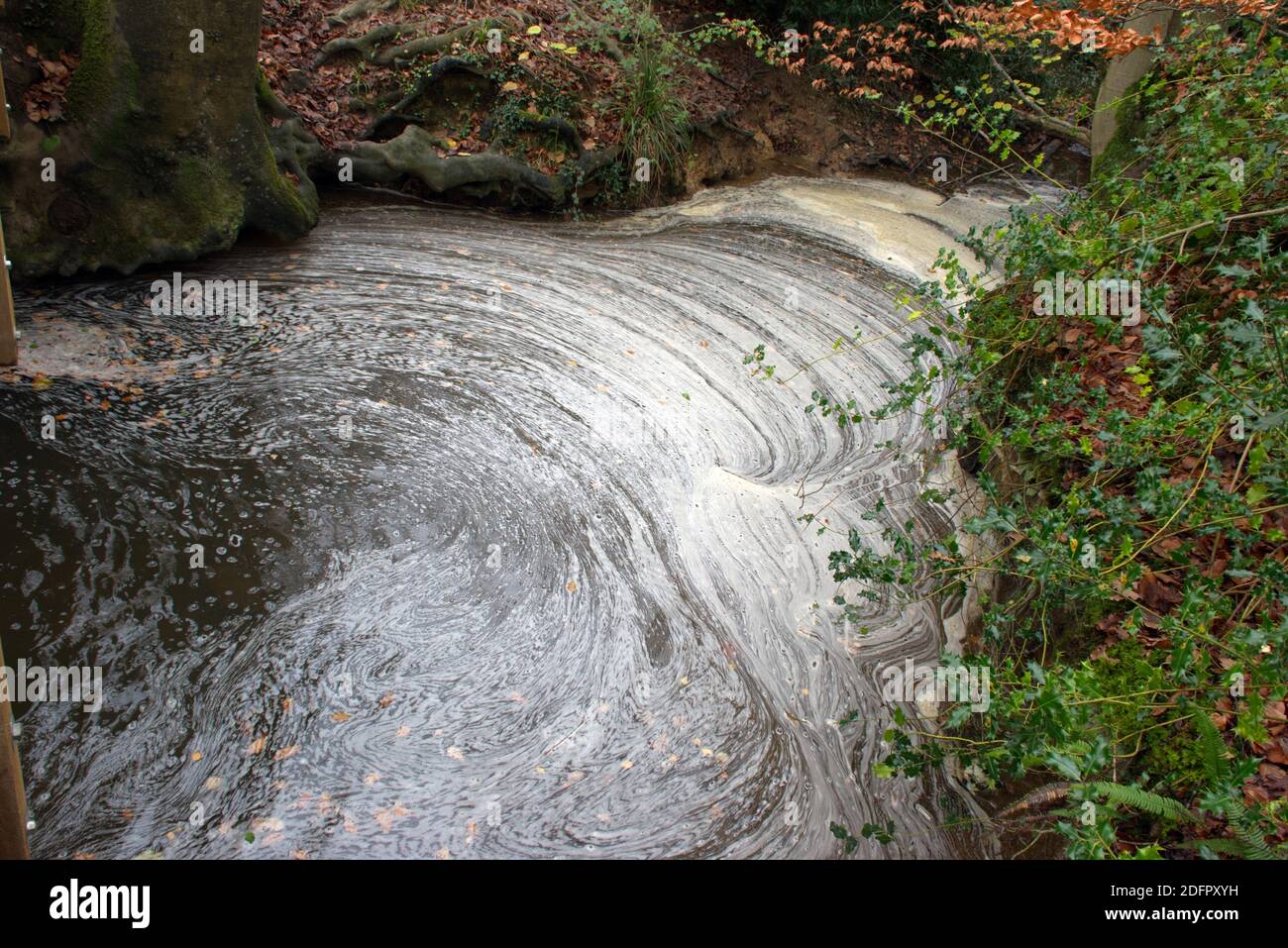 Accumulated pollution in a small woodland stream Stock Photo - Alamy