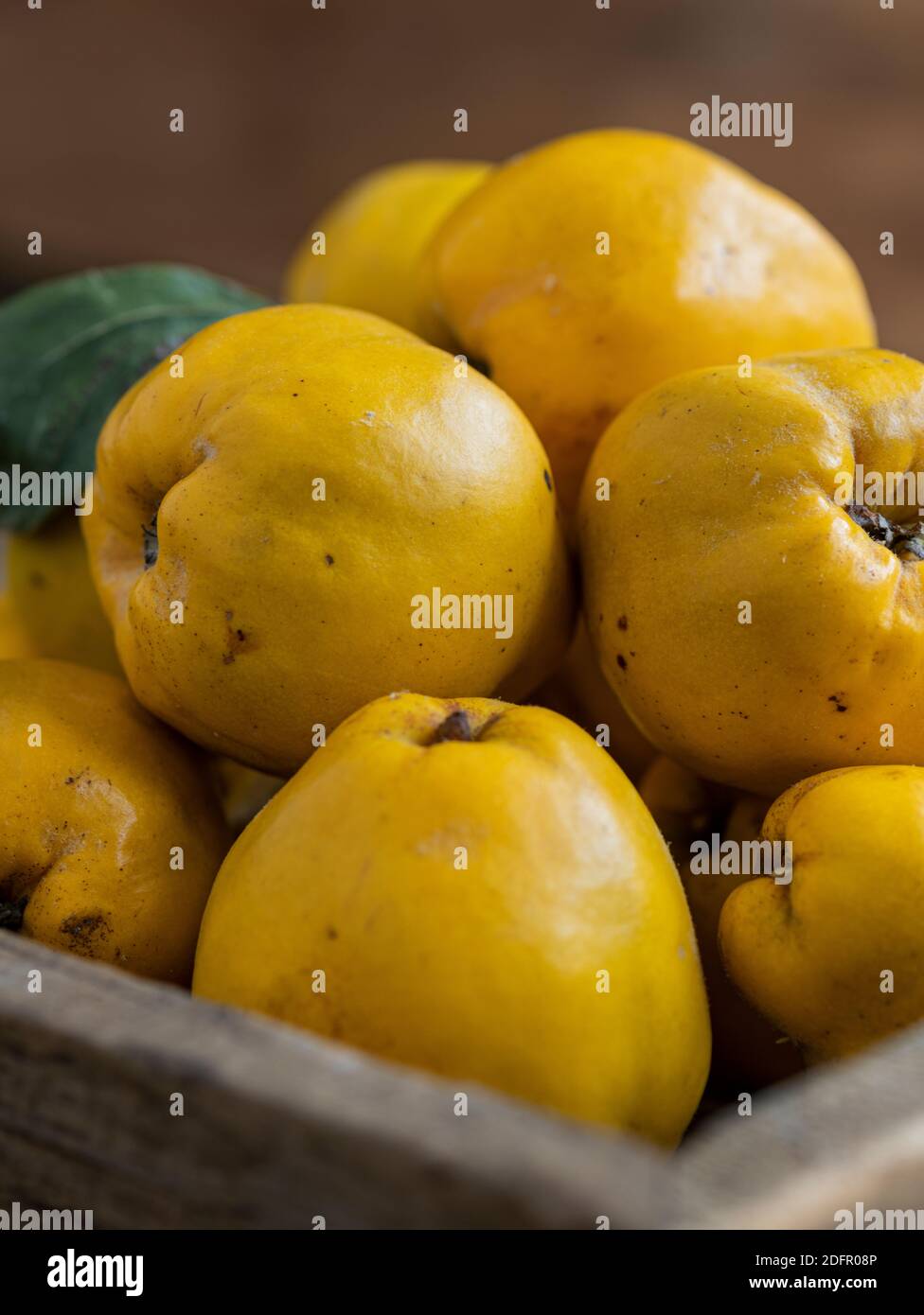 Colour photograph of a pile of quinces hi-res stock photography and ...
