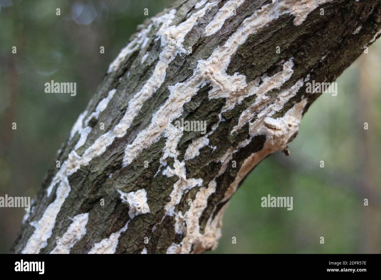 Rough furrows hi-res stock photography and images - Alamy