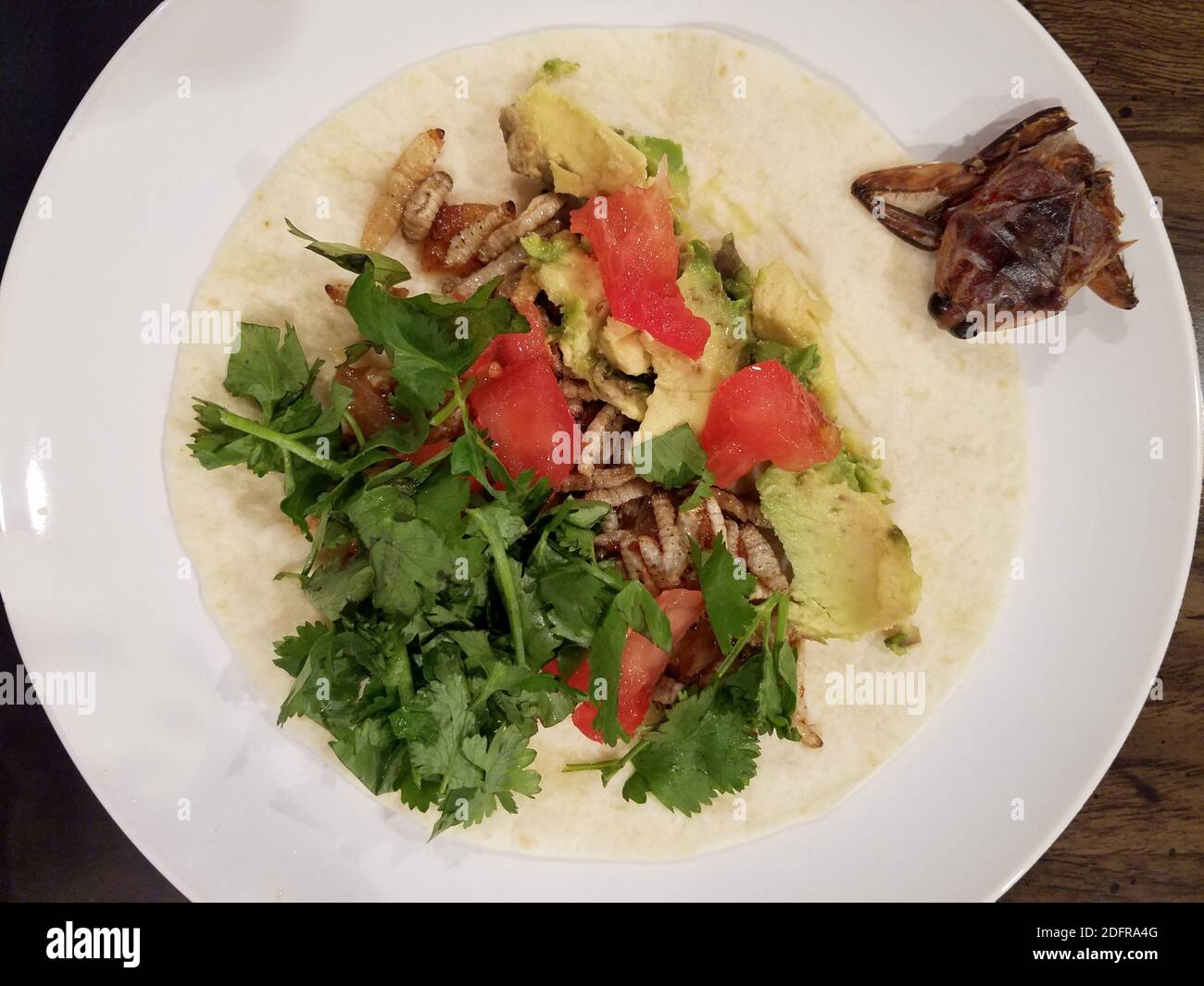 Cooked grubs hi-res stock photography and images - Alamy