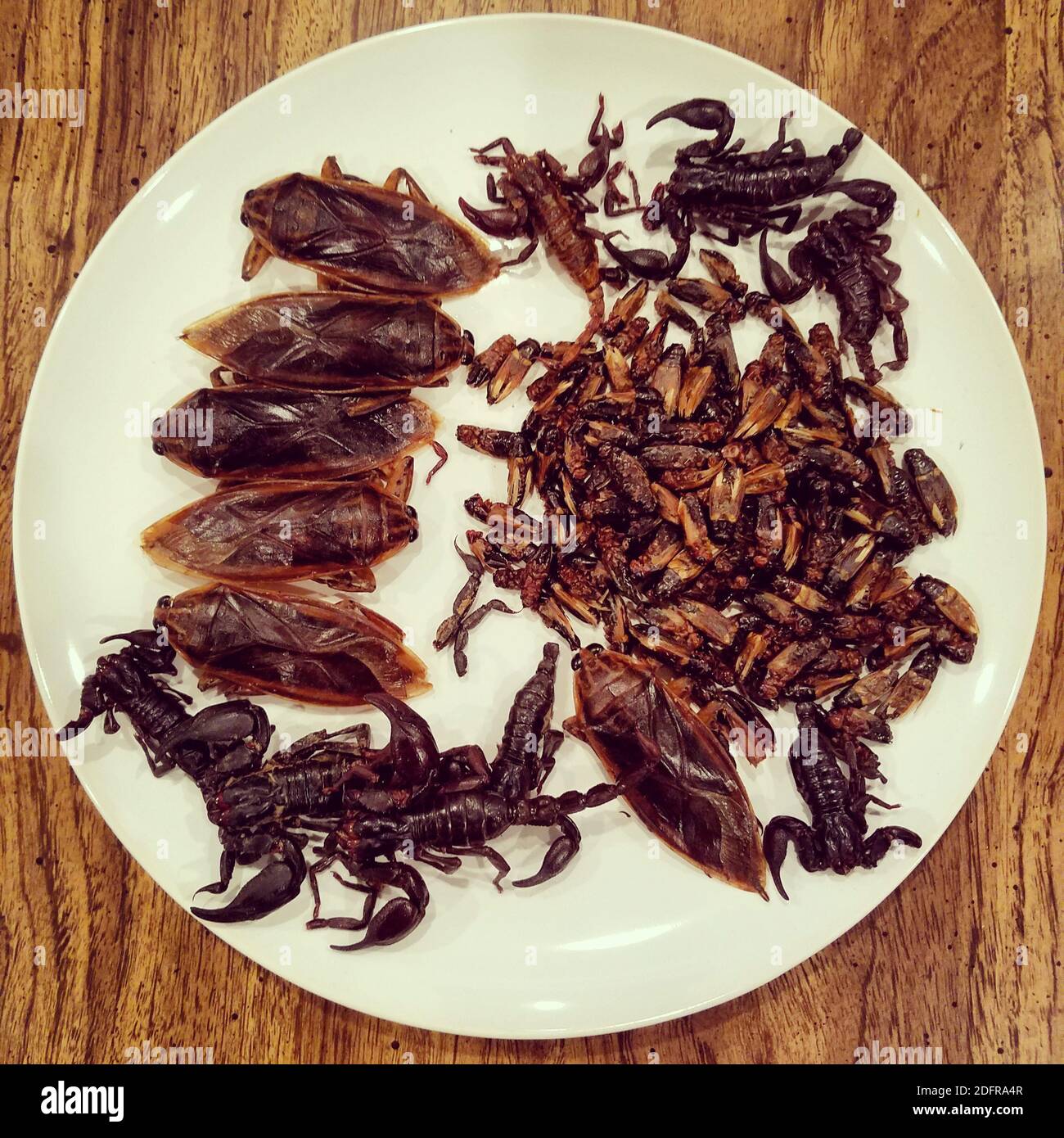Insect meal with a plate of fried grasshoppers, grubs, crickets and ...