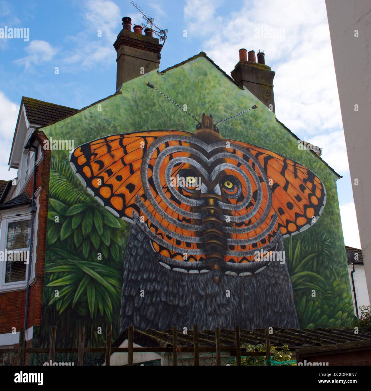 Butterfly mural hi-res stock photography and images - Alamy