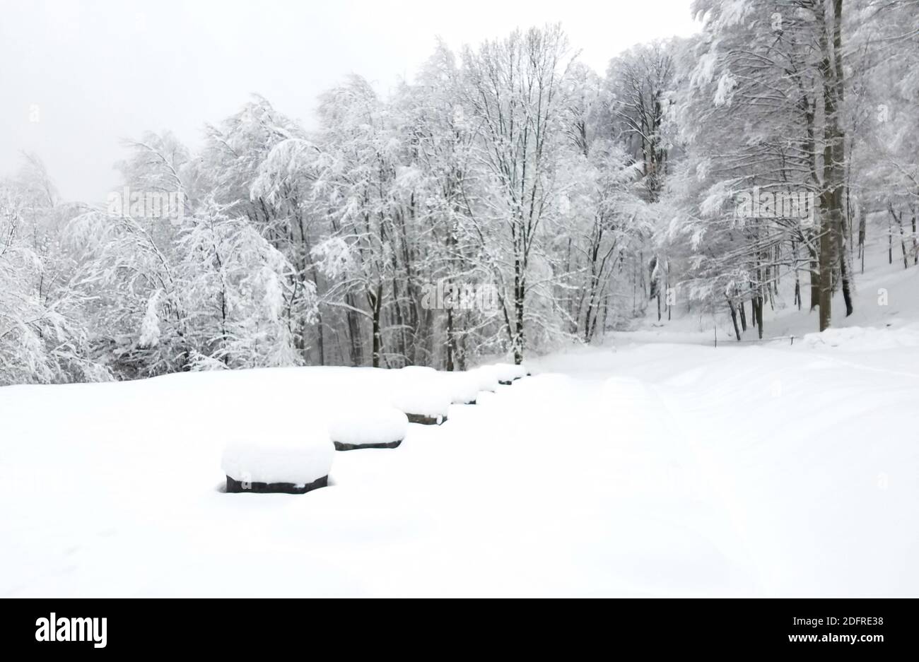 Winter landscape with a park in a wooded area with sculptures and trees ...