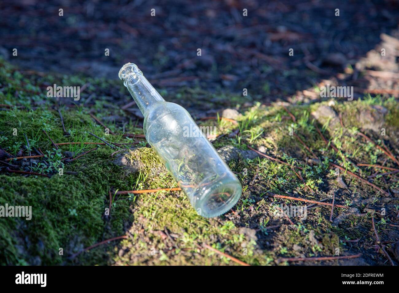empty discarded glass bottle lies on a forest floor, enviromental issue ...