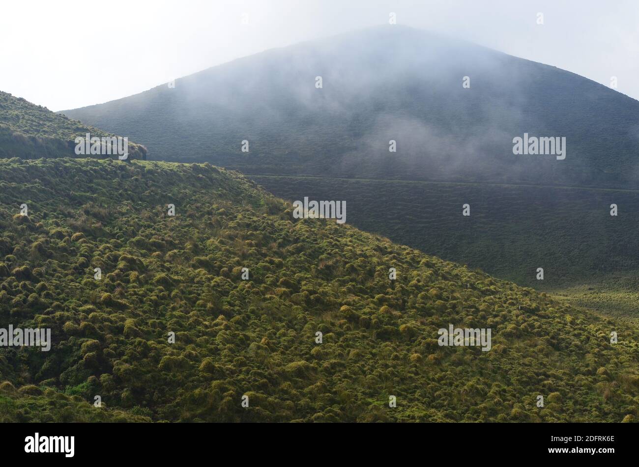 The high volcanic plateau of Pico island, Azores archipelago, Portugal ...