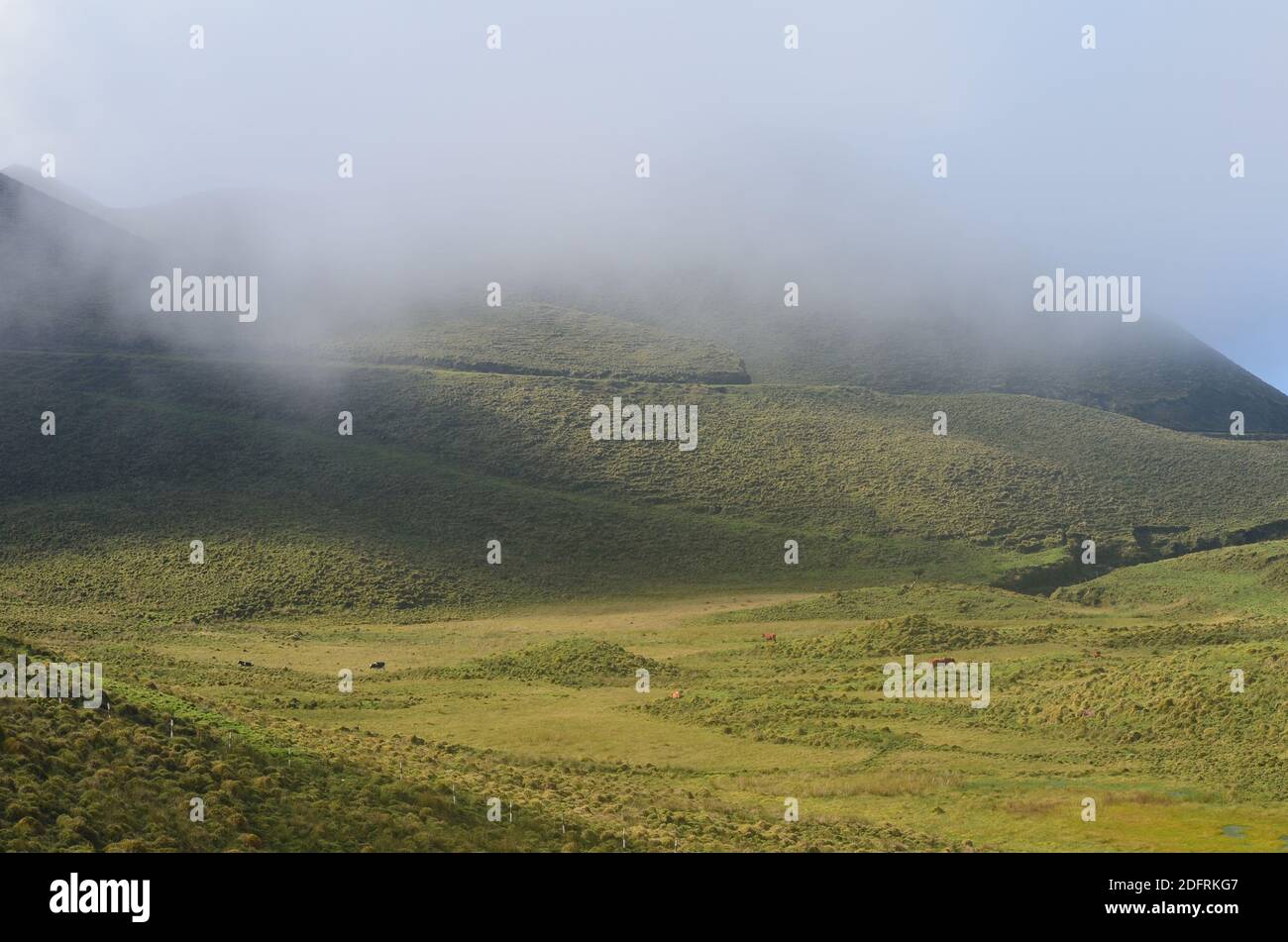 The high volcanic plateau of Pico island, Azores archipelago, Portugal ...