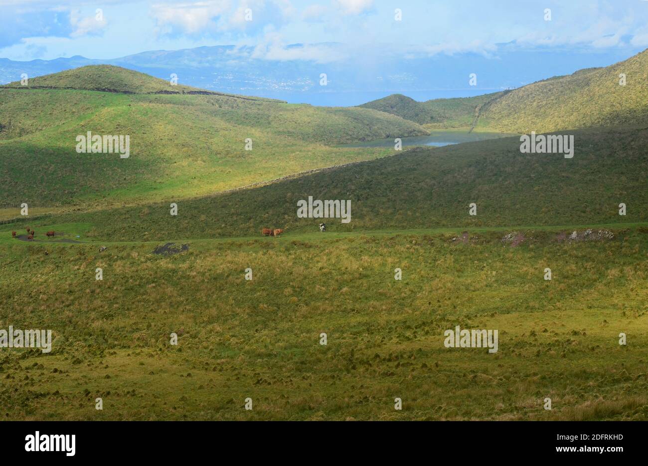The high volcanic plateau of Pico island, Azores archipelago, Portugal ...
