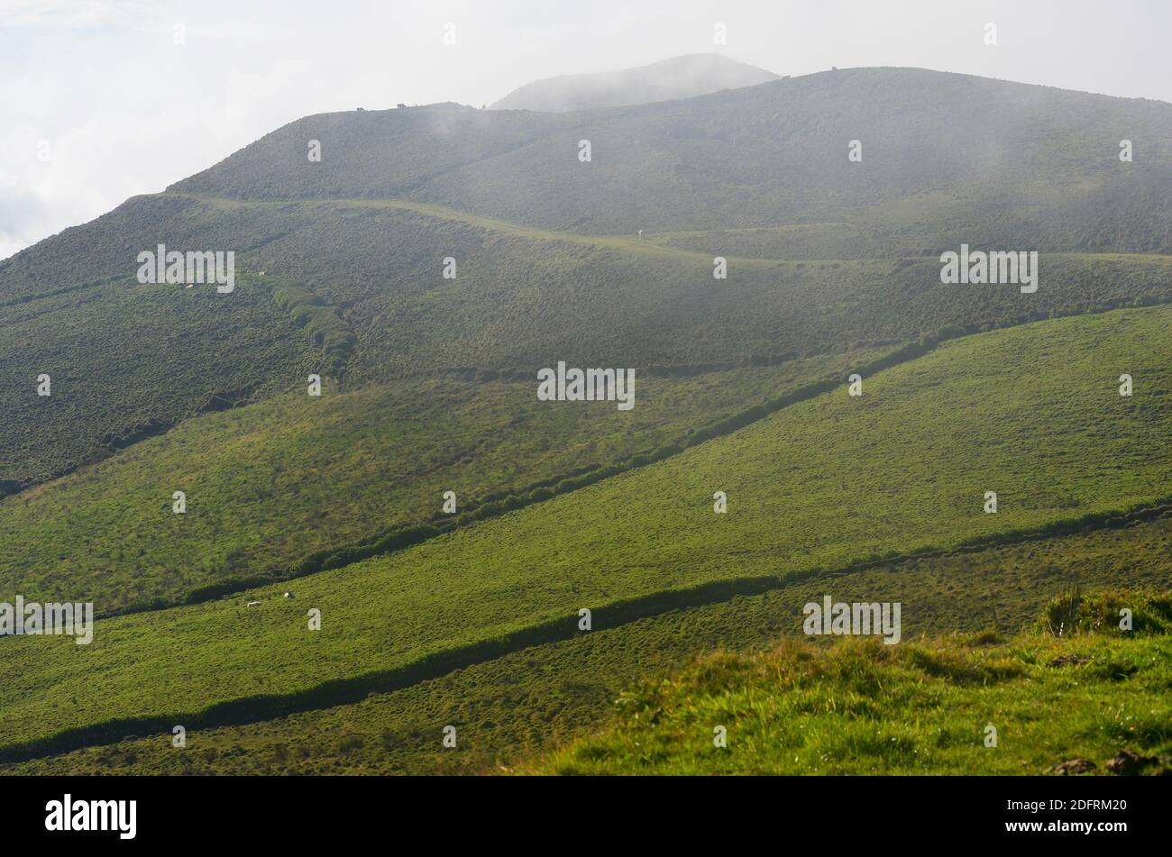 The high volcanic plateau of Pico island, Azores archipelago, Portugal ...