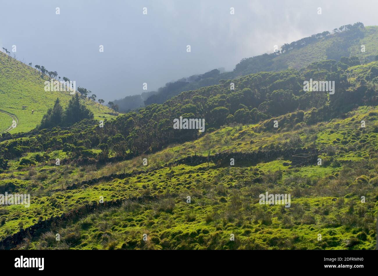 The high volcanic plateau of Pico island, Azores archipelago, Portugal ...