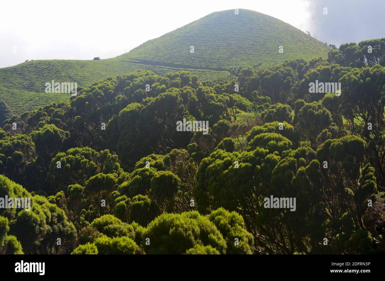 The high volcanic plateau of Pico island, Azores archipelago, Portugal ...