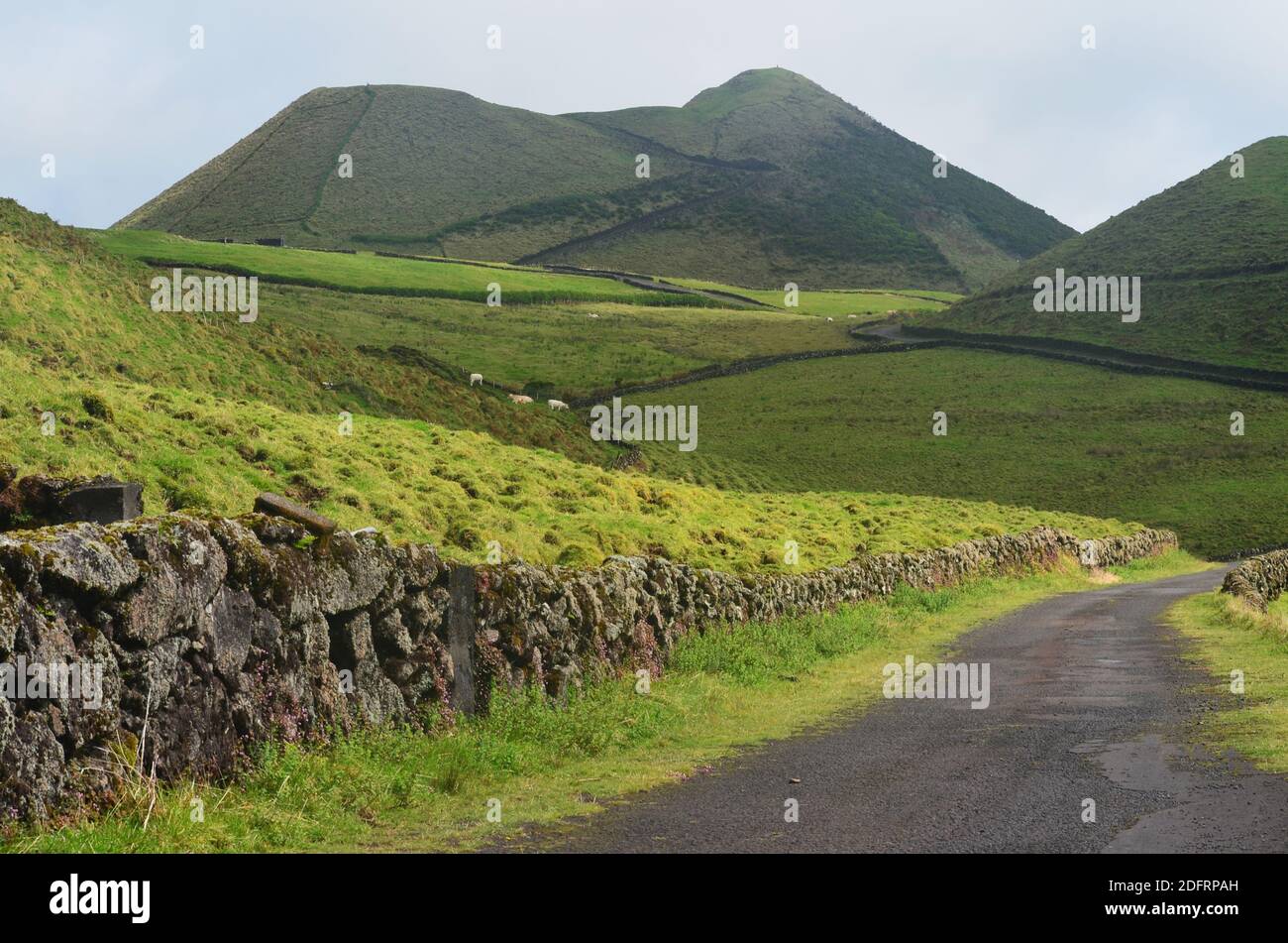 The high volcanic plateau of Pico island, Azores archipelago, Portugal ...